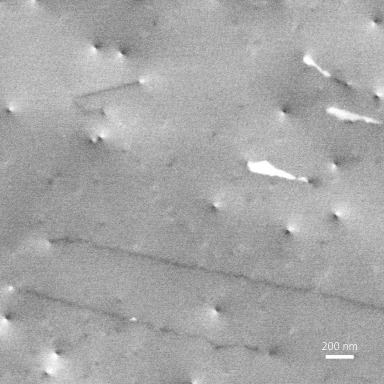 Innovators In Electron Microscopy