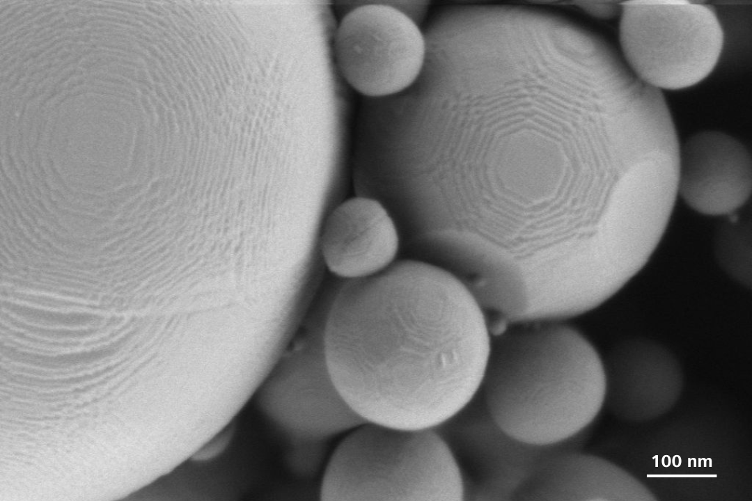 Innovators In Electron Microscopy