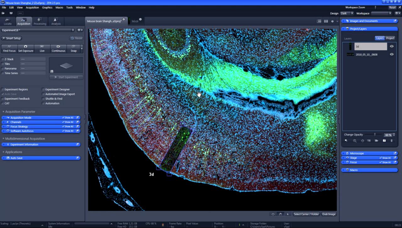 ZEISS LSM 900 with Airyscan 2 - Compact Confocal Microscope for Live ...