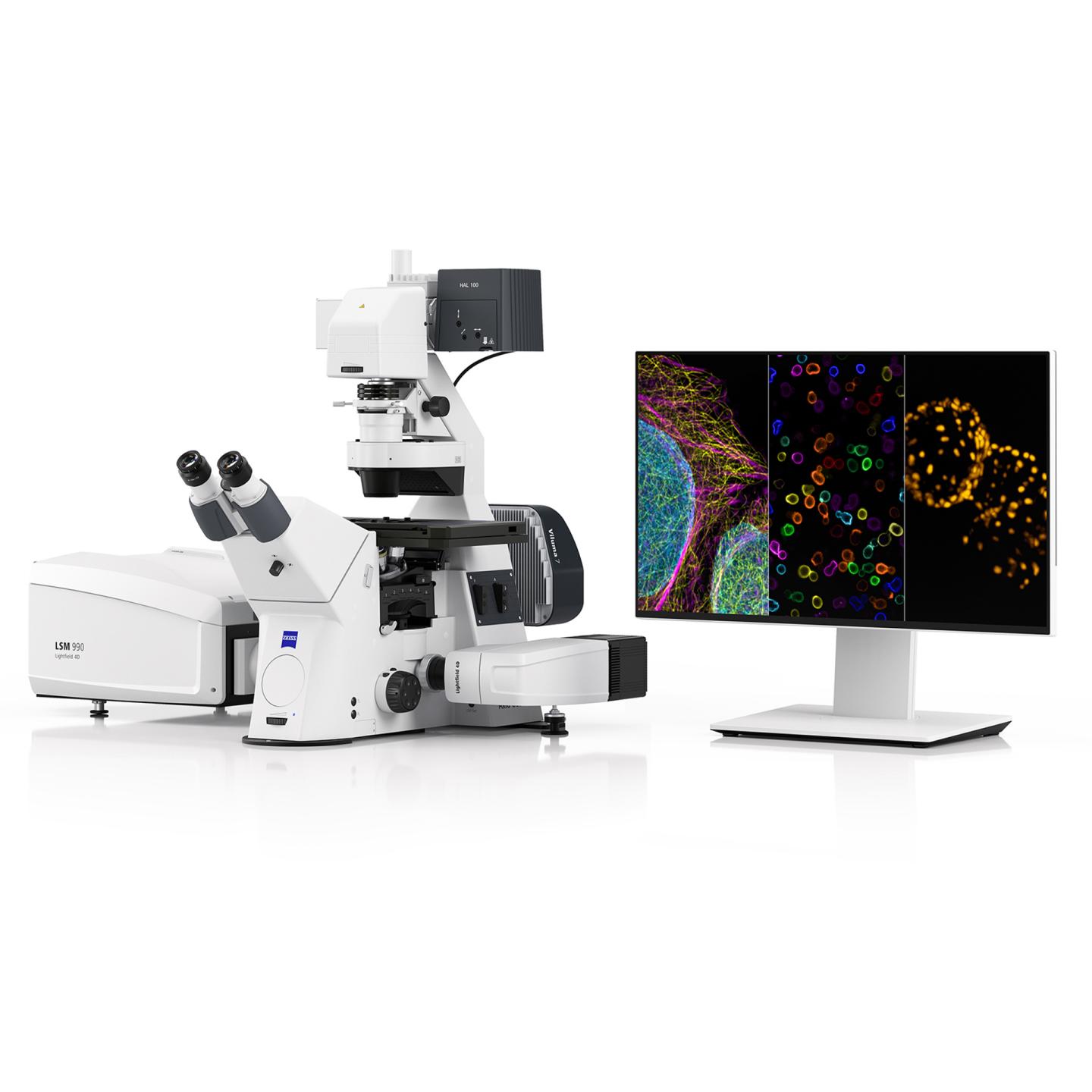 ZEISS LSM 900 with Airyscan 2 - Compact Confocal Microscope for Live ...