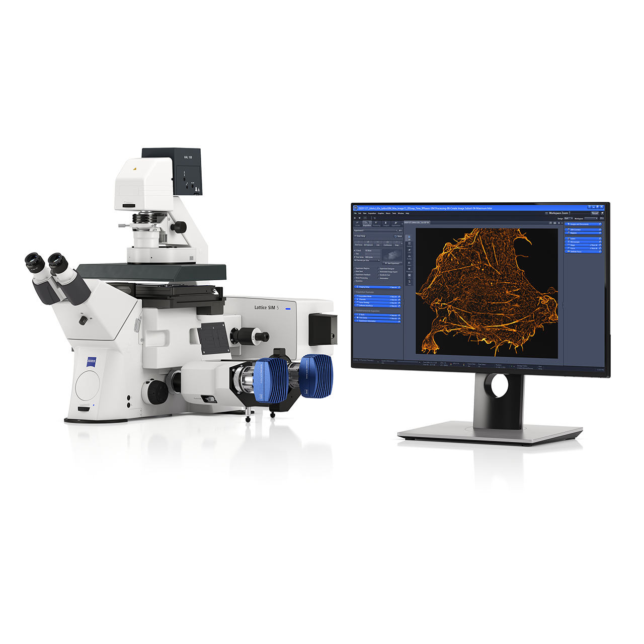 ZEISS Lattice SIM 5: Super-resolution imaging down to 60 nm