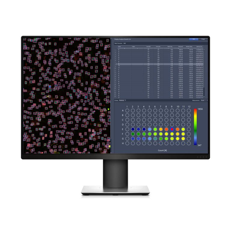 ZEISS ZEN Microscopy Software