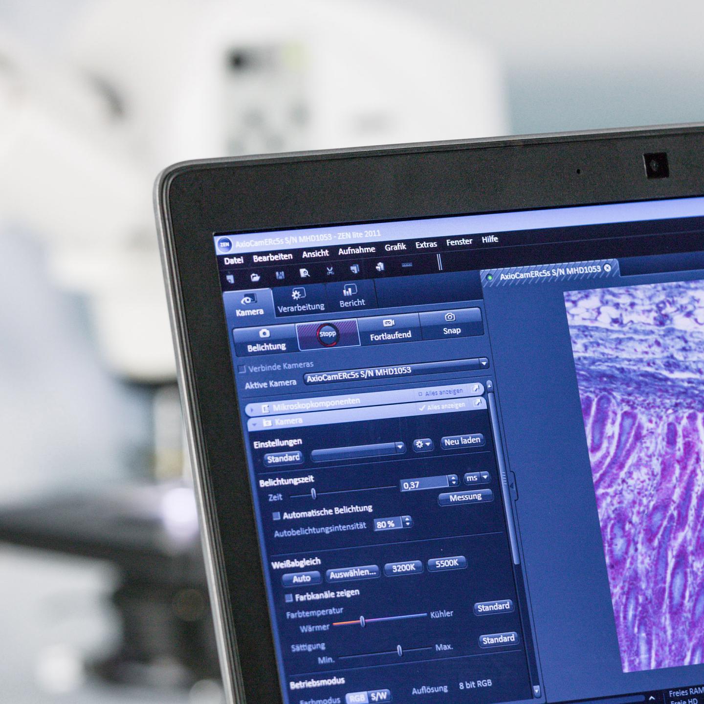ZEISS ZEN Microscopy Software