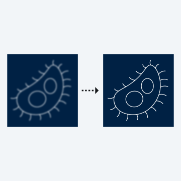 ZEISS ZEN Microscopy Software