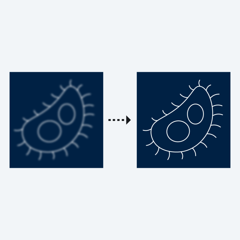 ZEISS ZEN Microscopy Software