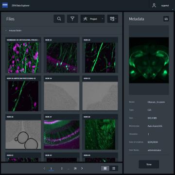 ZEISS ZEN Microscopy Software