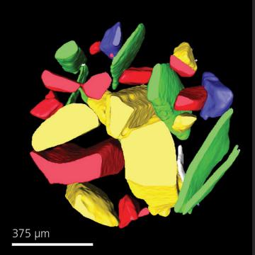ZEISS Xradia Versa X-ray Microscopes